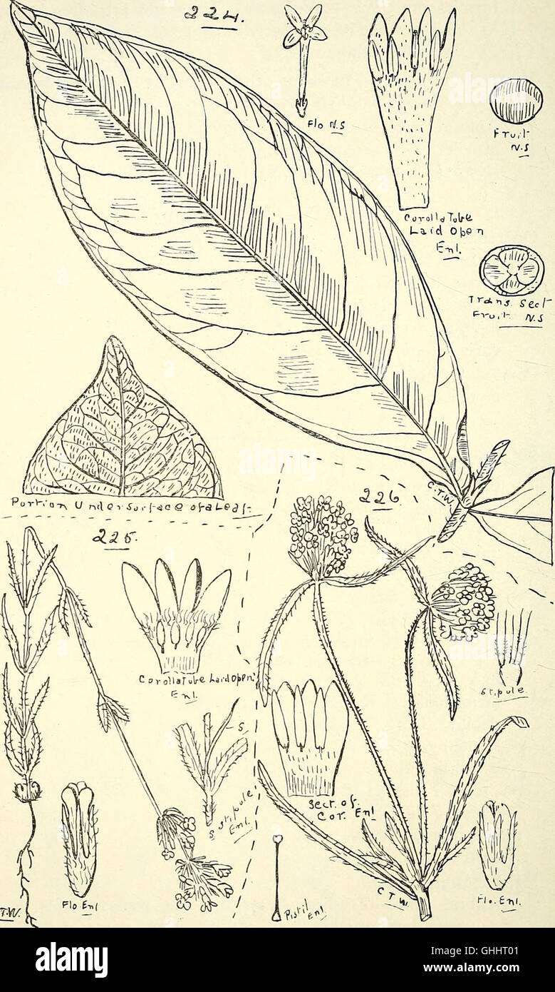 This catalogue presents a comprehensive list of Queensland plants ...