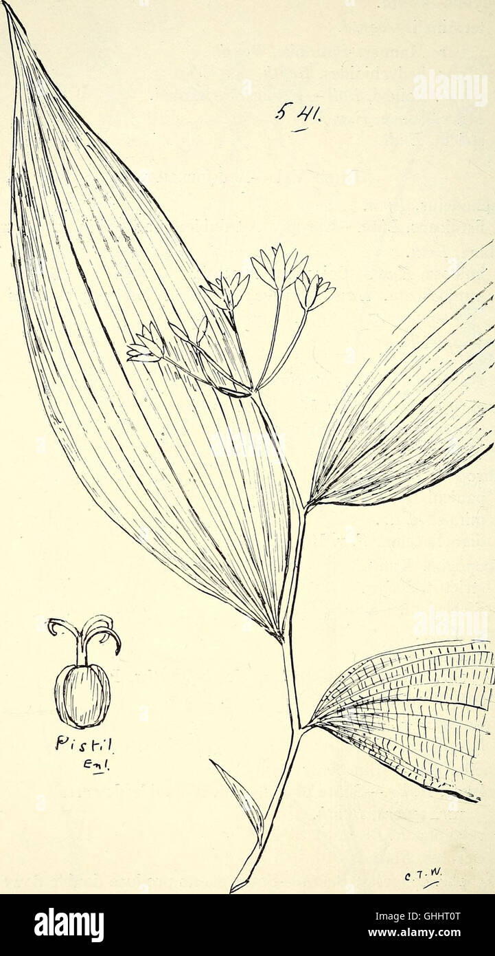 This catalog provides a comprehensive list of both indigenous and ...