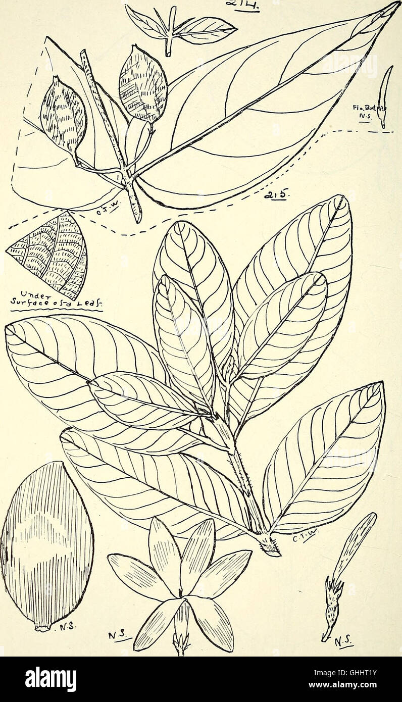 This catalogue lists both indigenous and naturalised plants of ...