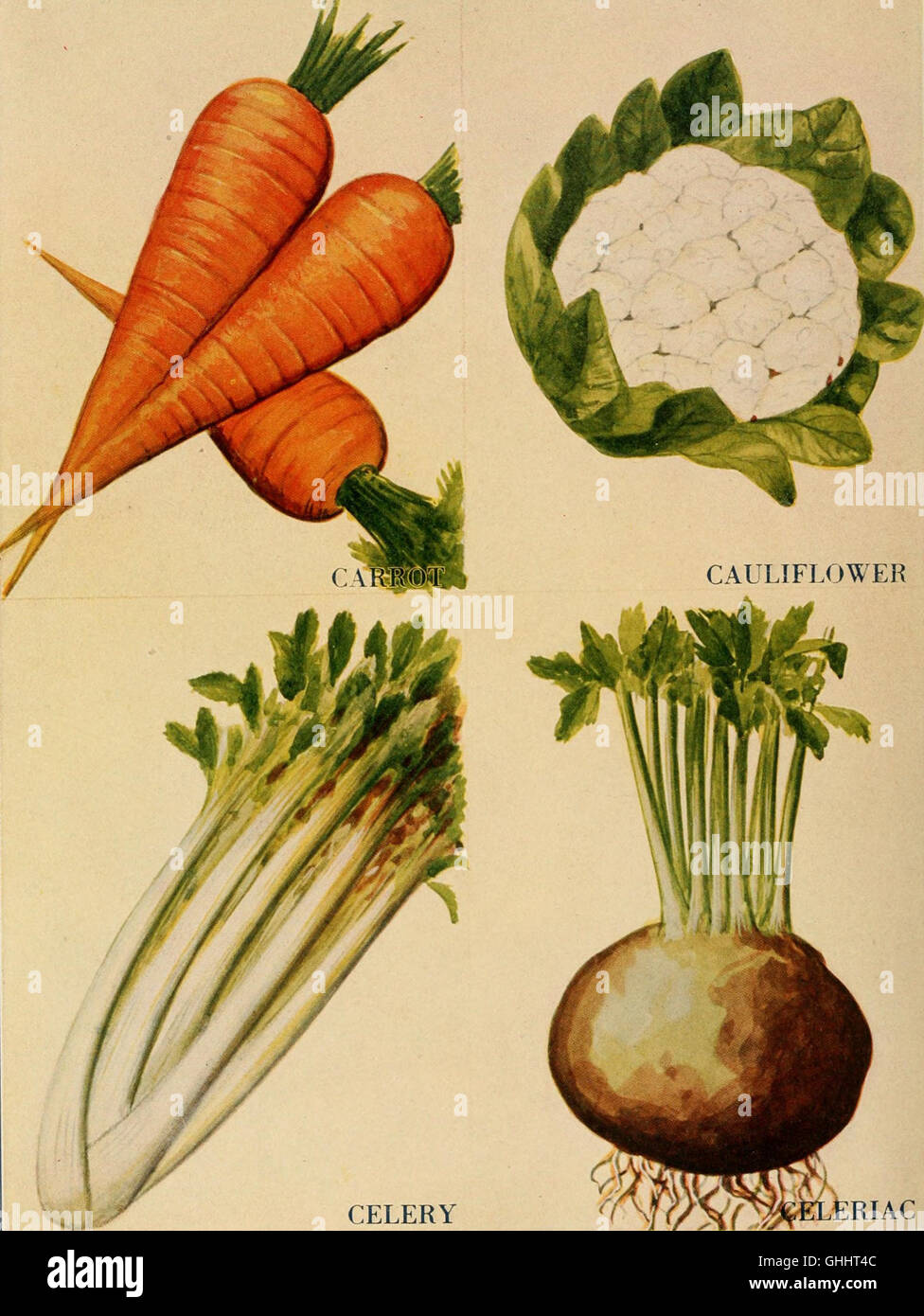 A guide providing practical advice on farming, gardening, and land use ...