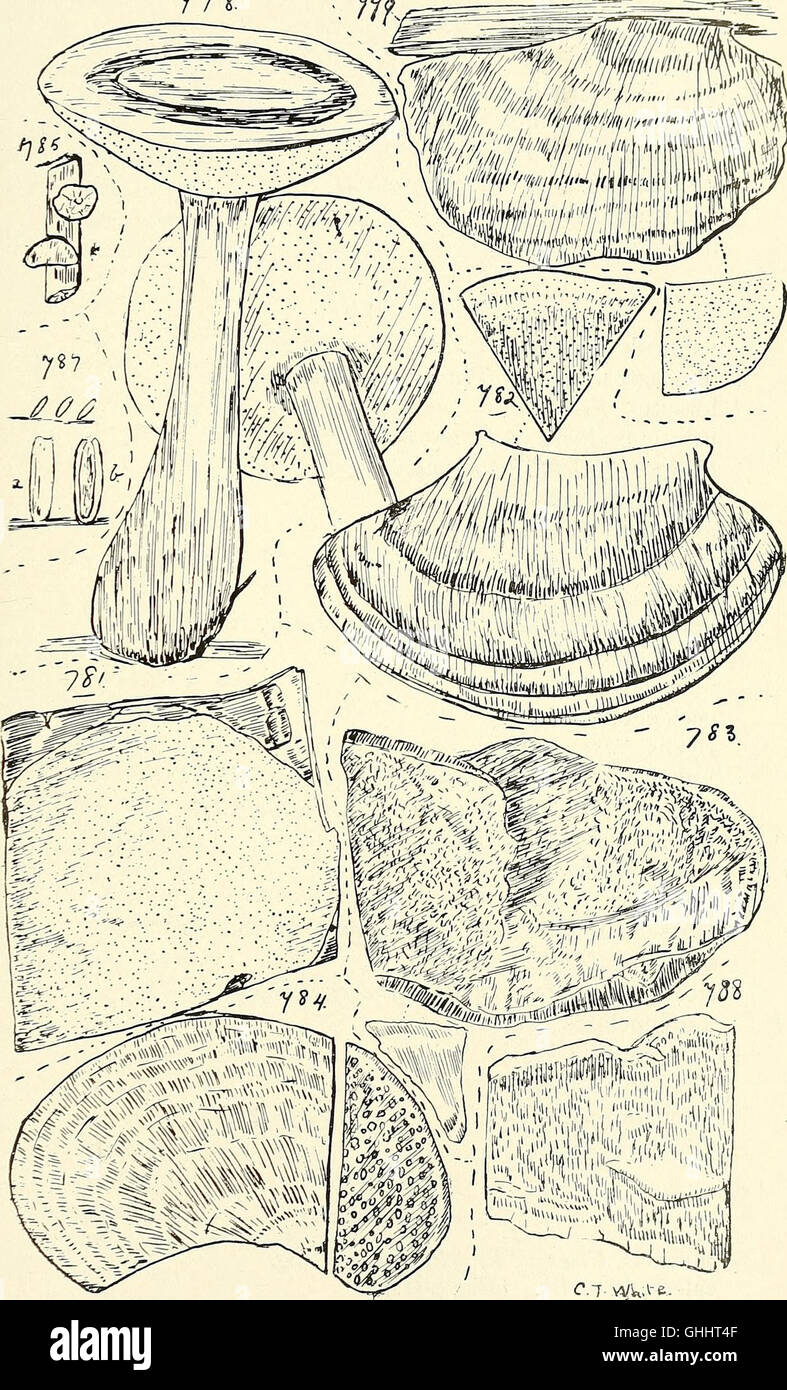 This catalogue of Queensland plants lists both indigenous and ...