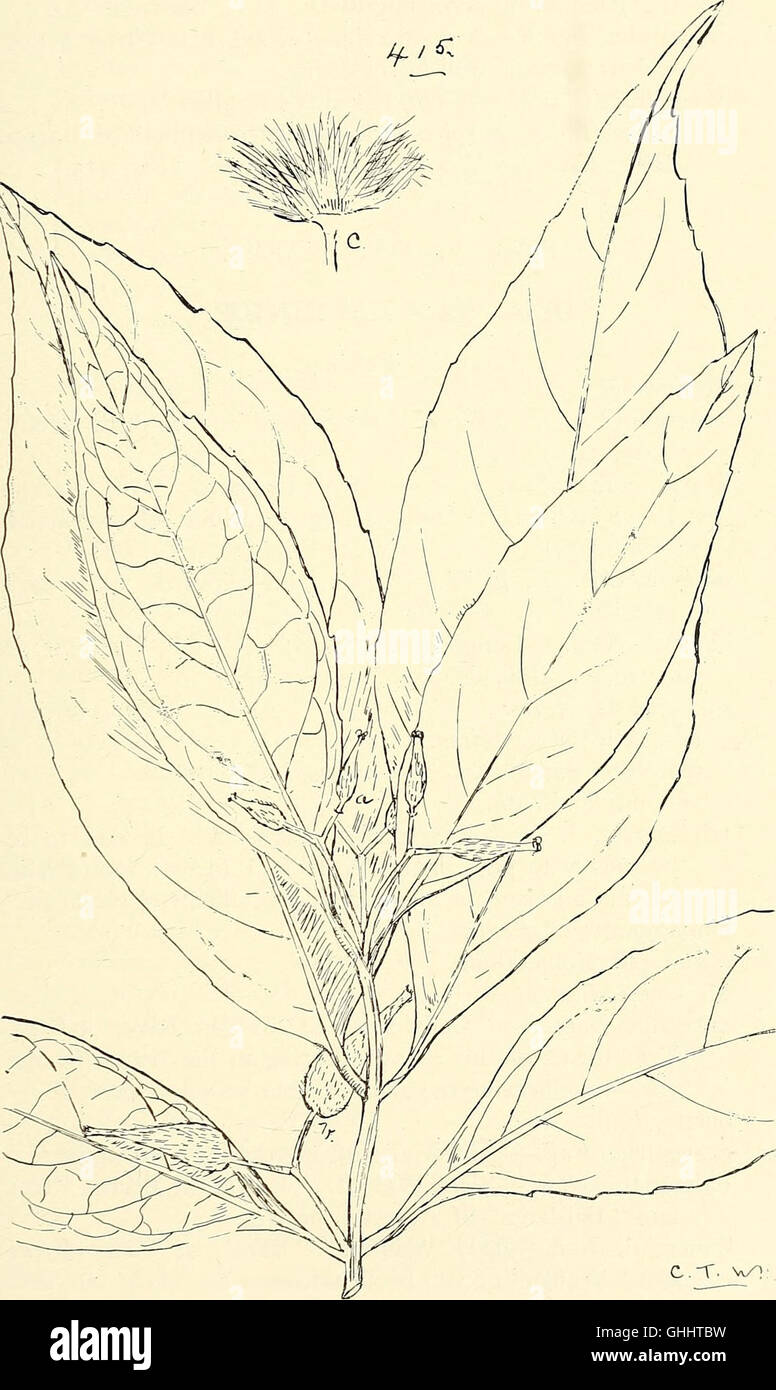 This catalogue provides a comprehensive listing of both native and ...