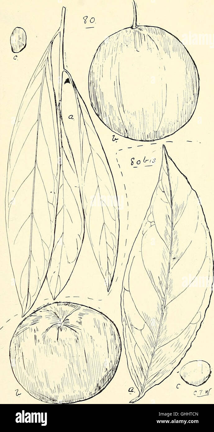 This catalogue provides a detailed list of Queensland plants, including ...