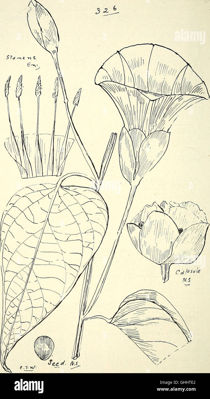 This catalogue provides a comprehensive list of both indigenous and ...