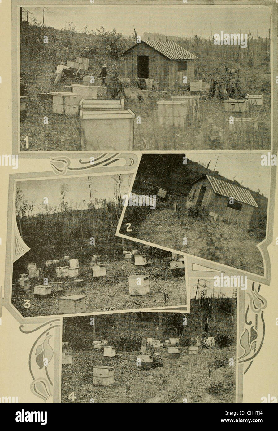 'Gleanings in Bee Culture,' published in 1911, is a periodical ...