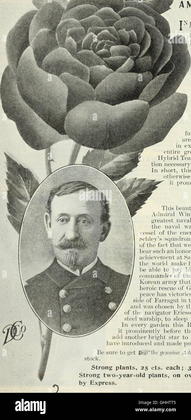 This 1903 guide provides detailed instructions on cultivating roses ...