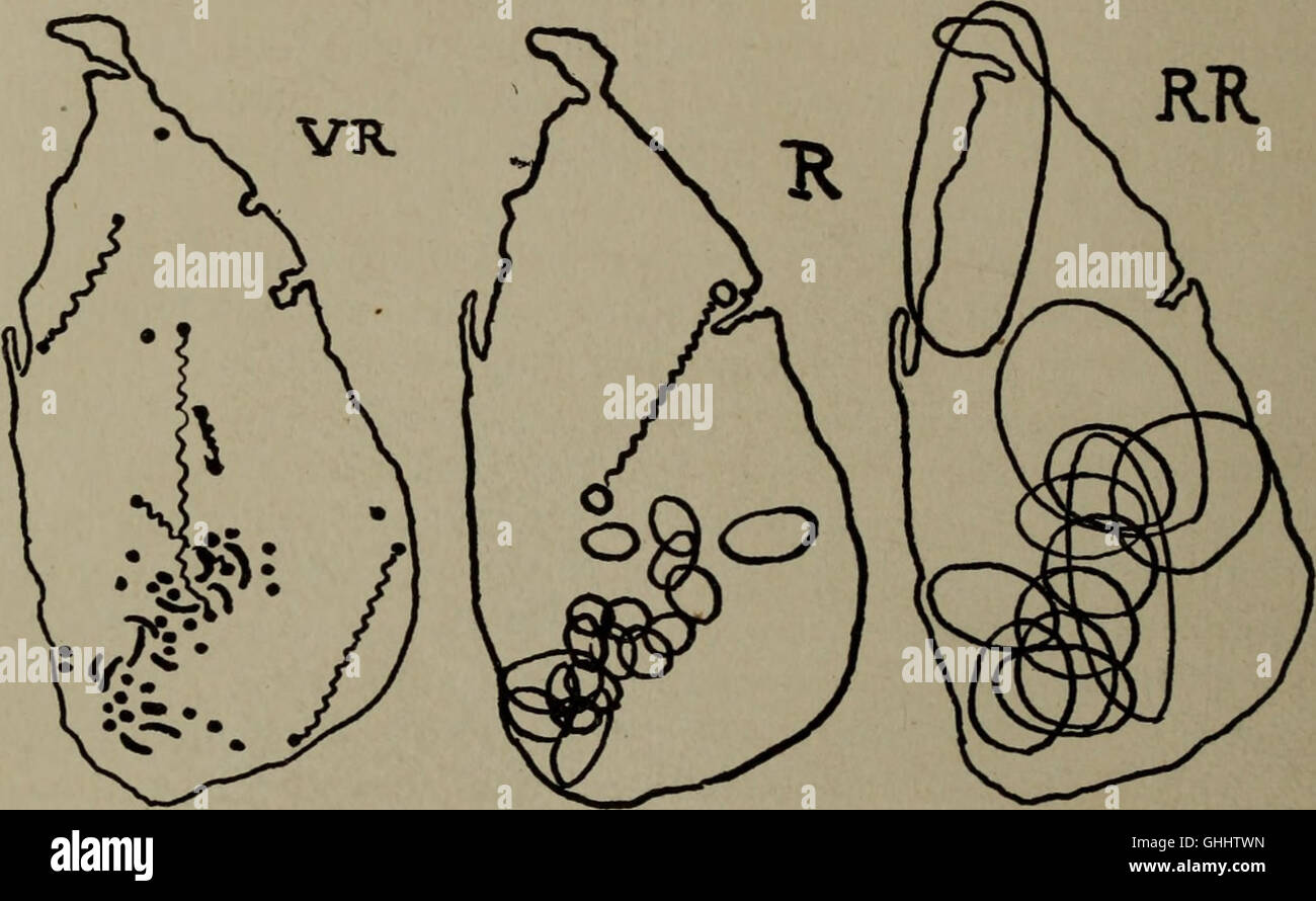 This 1922 study explores the geographical distribution and origins of ...