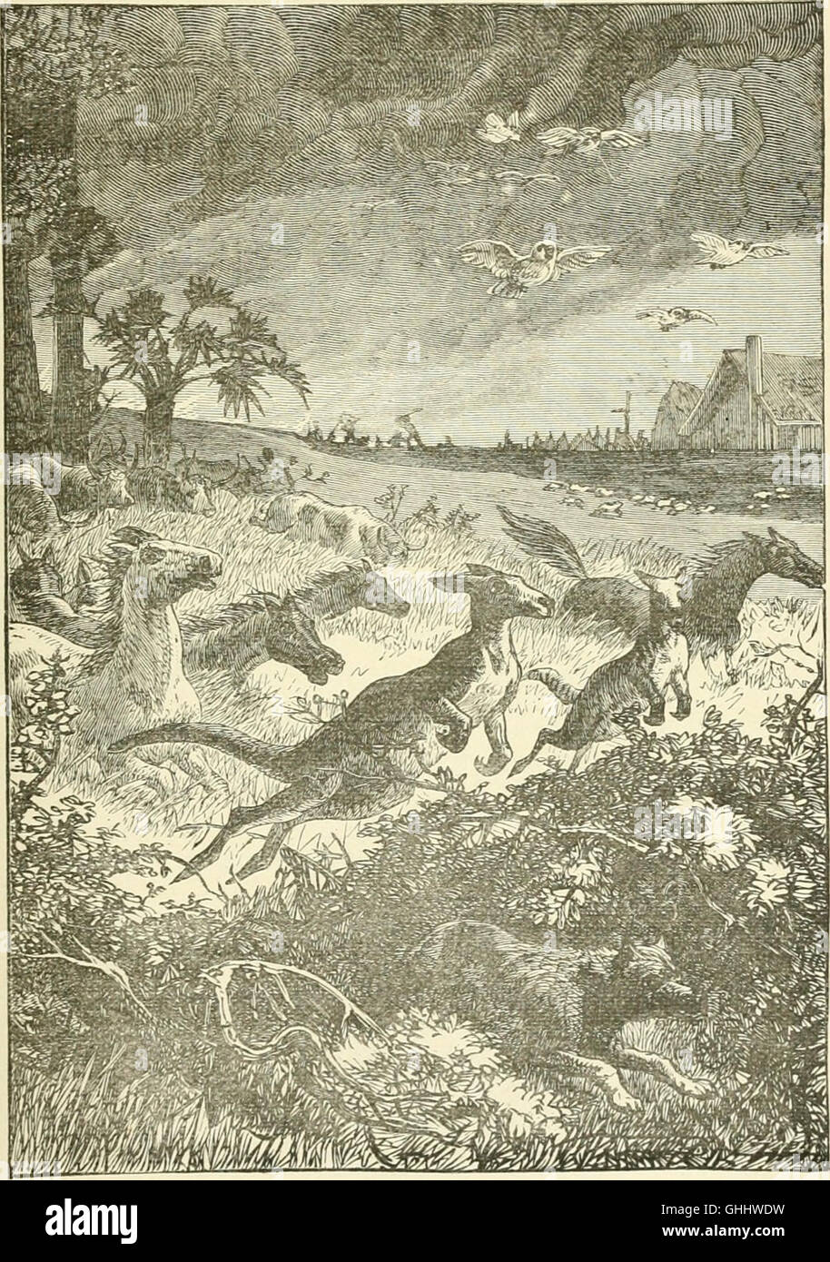 This 1899 work highlights the lives of notable Australian heroes and ...