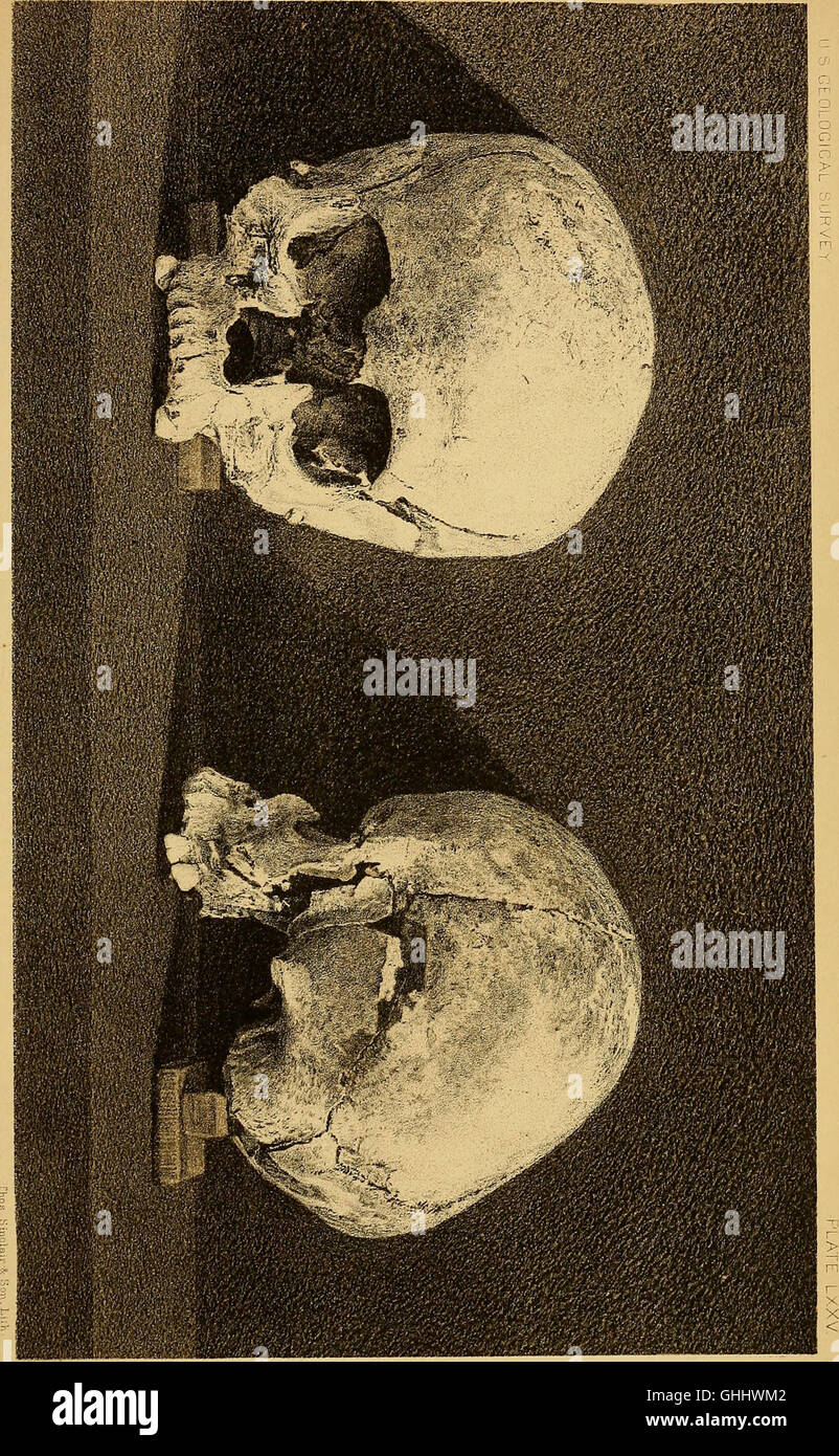 Cover of the annual report for the years 1867-1878, detailing the activities, findings, and ...