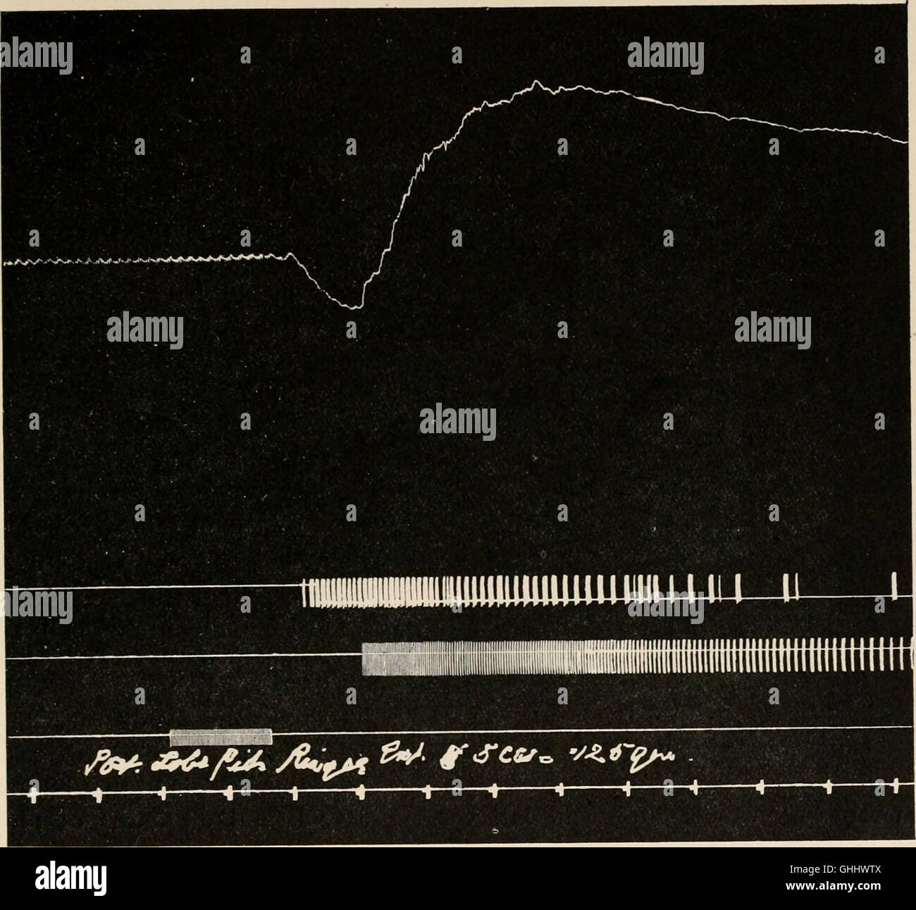 A detailed introduction to the study of the endocrine organs and their ...