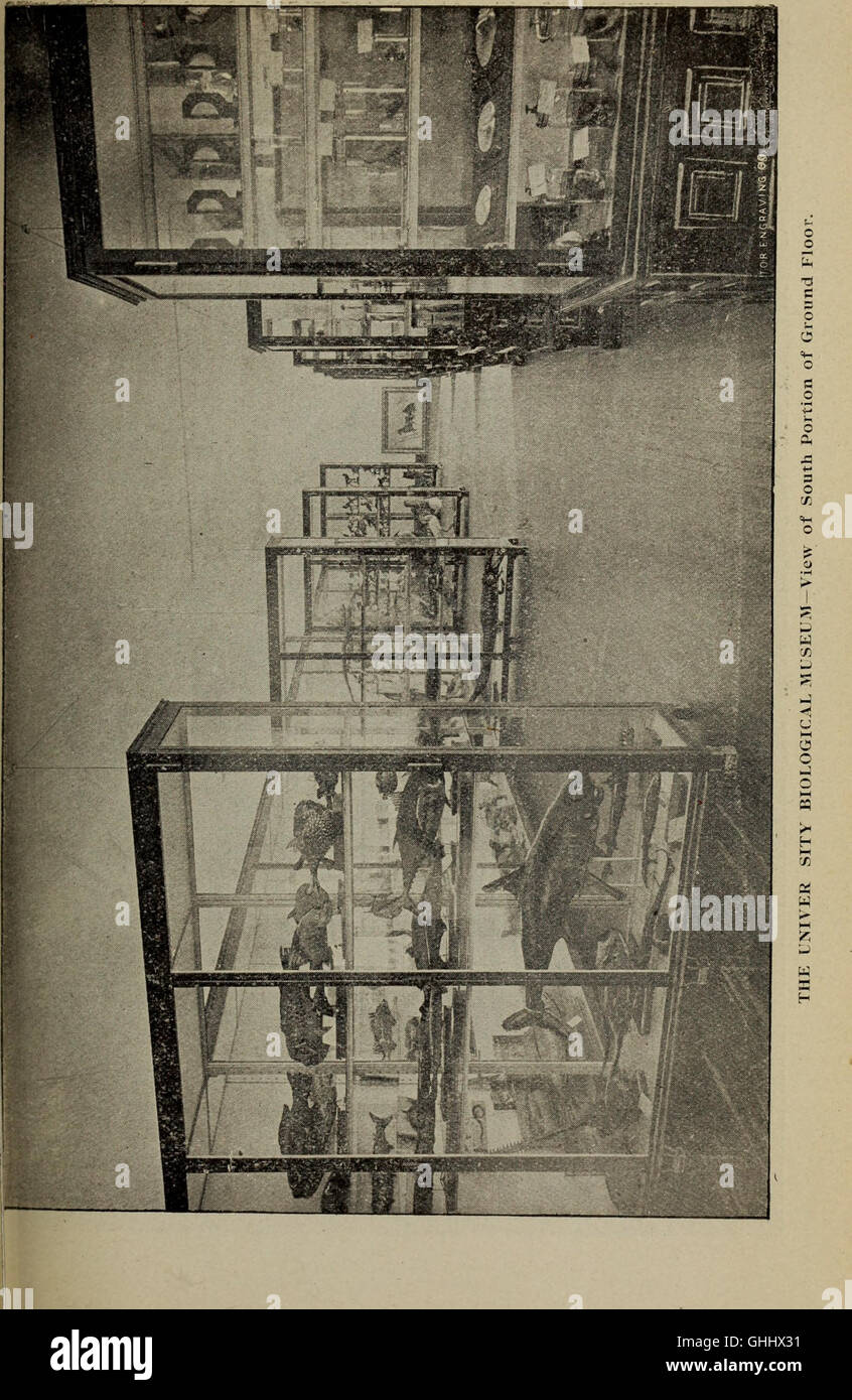 This calendar for the years 1902-1904 offers detailed dates, holidays ...