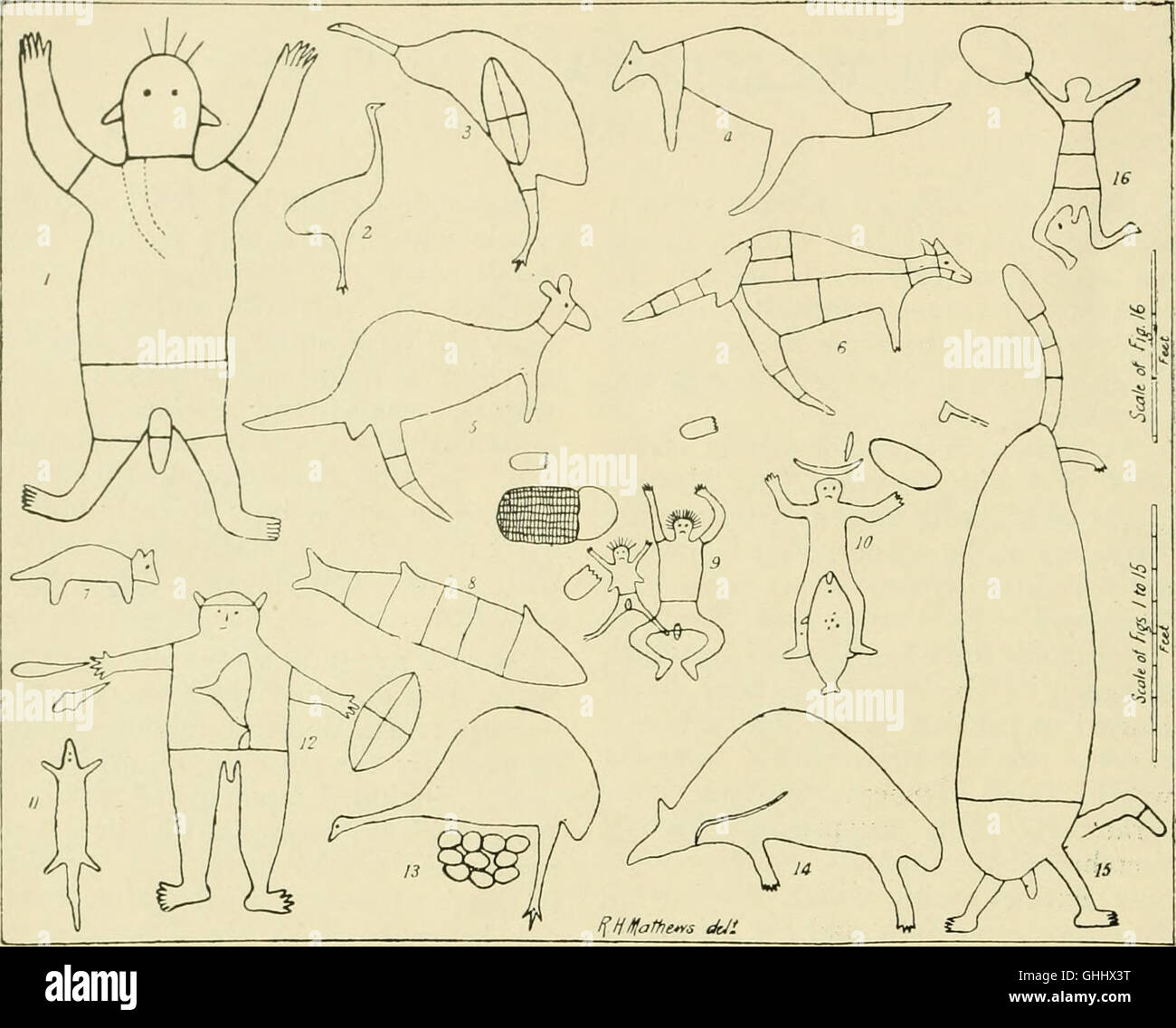A 1921 publication of The Australian Museum Magazine, focusing on ...