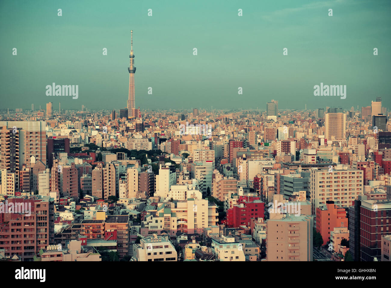 Tokyo urban skyline rooftop view with Skytree, Japan Stock Photo - Alamy