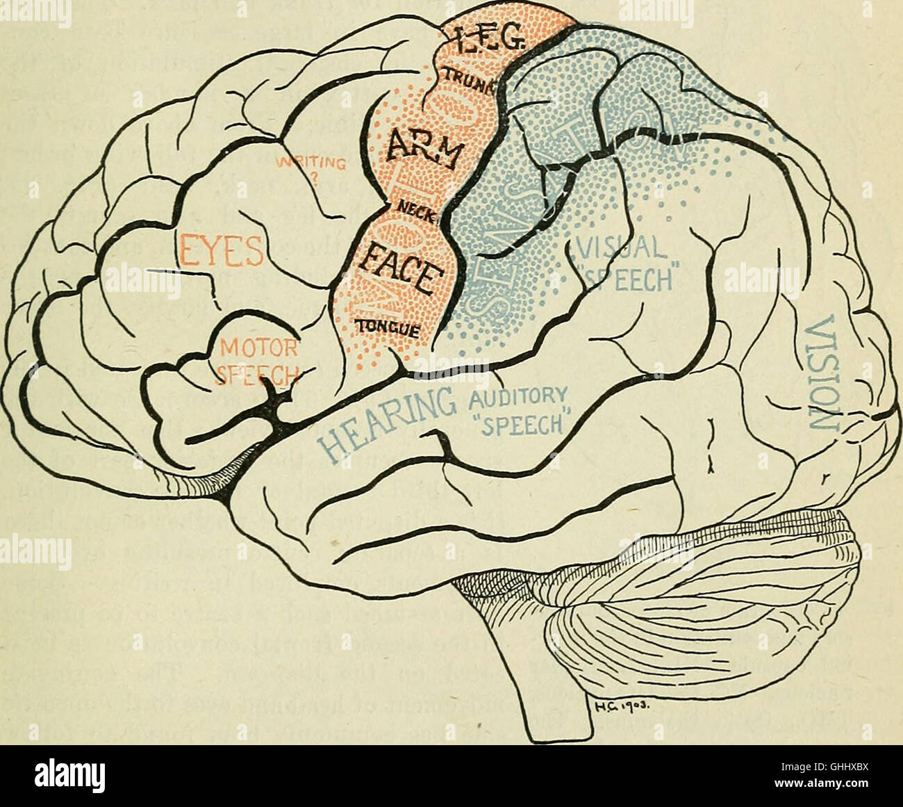 This 1904 medical text outlines fundamental principles and practices of ...