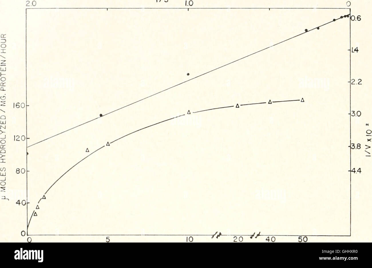 The Biological bulletin Stock Photo - Alamy
