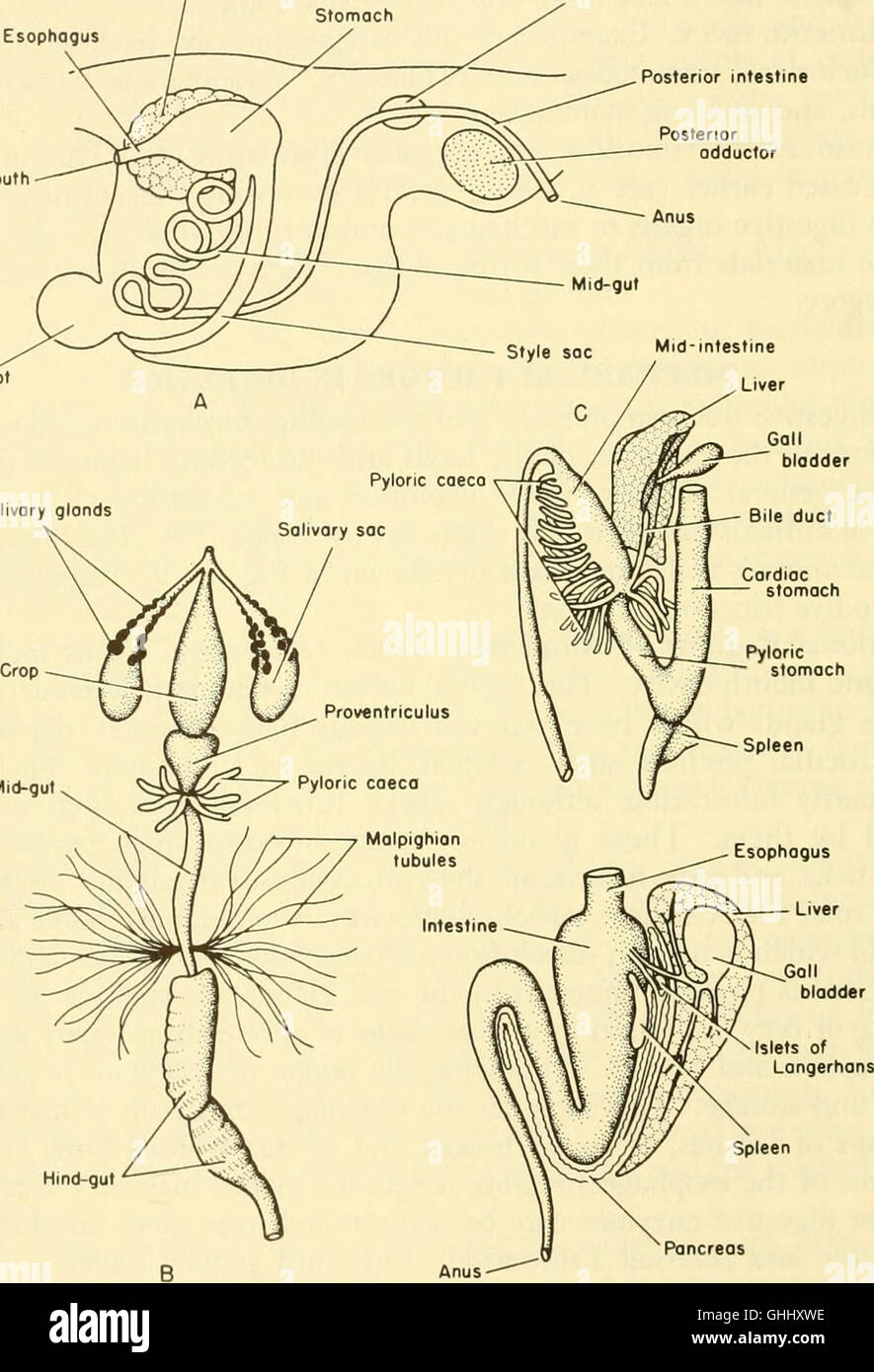 This 1950 work on comparative animal physiology explores the ...