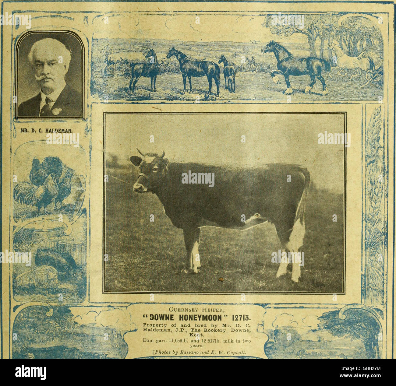 Farmer stockbreeder 1919 hi-res stock photography and images - Alamy