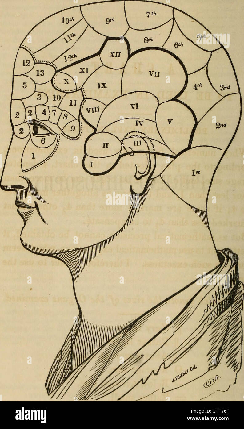 This work on 'Phreno-geology' explores theories connecting brain ...