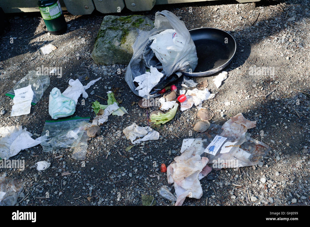 A rubbish bag torn open by birds on a campsite Stock Photo - Alamy