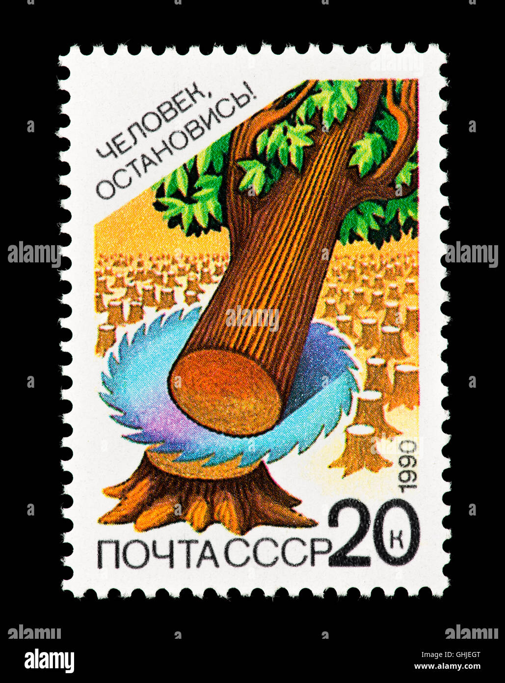 Postage stamp from the Soviet Union depicting a forest of logged trees ...