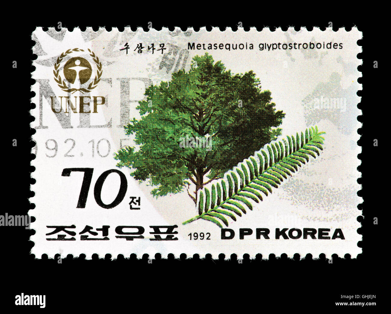 Postage stamp from North Korea depicting a dawn redwood or just plain ...