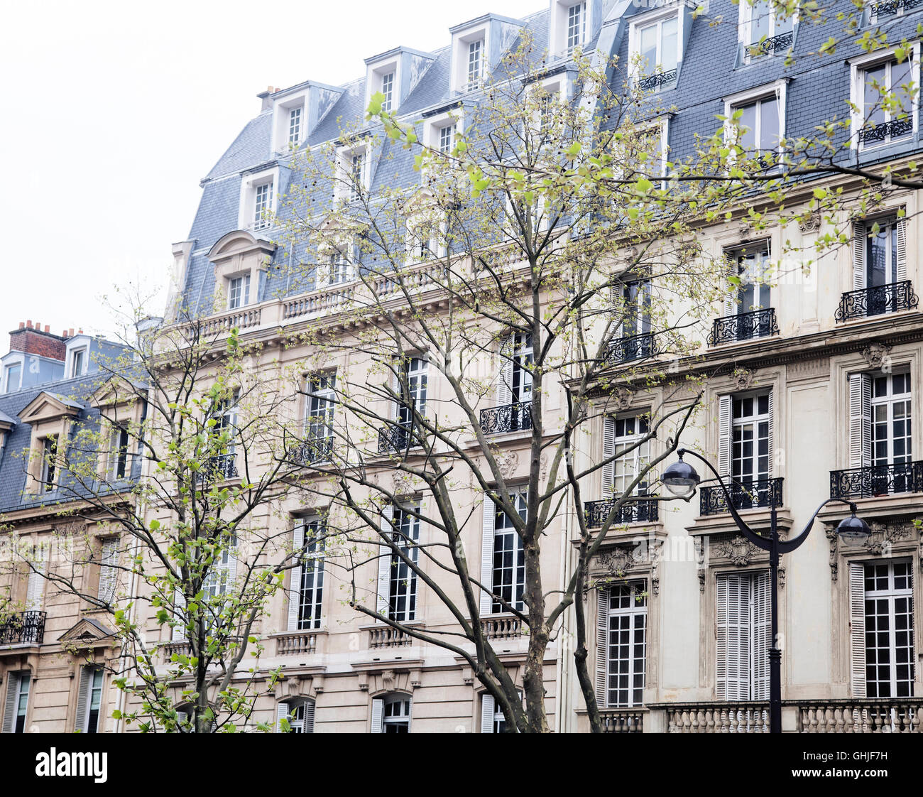 houses on french streets of Paris. citylife concept Stock Photo - Alamy