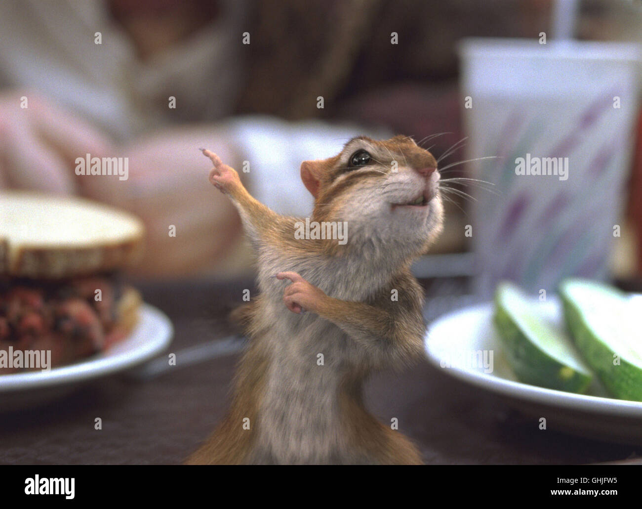 Verwünscht / The chipmunk Pip is Giselle's trusted friend. Regie: Kevin ...