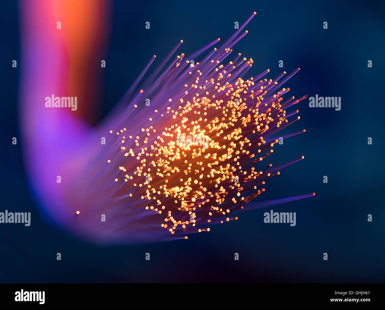 Internet technology fiber optic background Stock Photo - Alamy