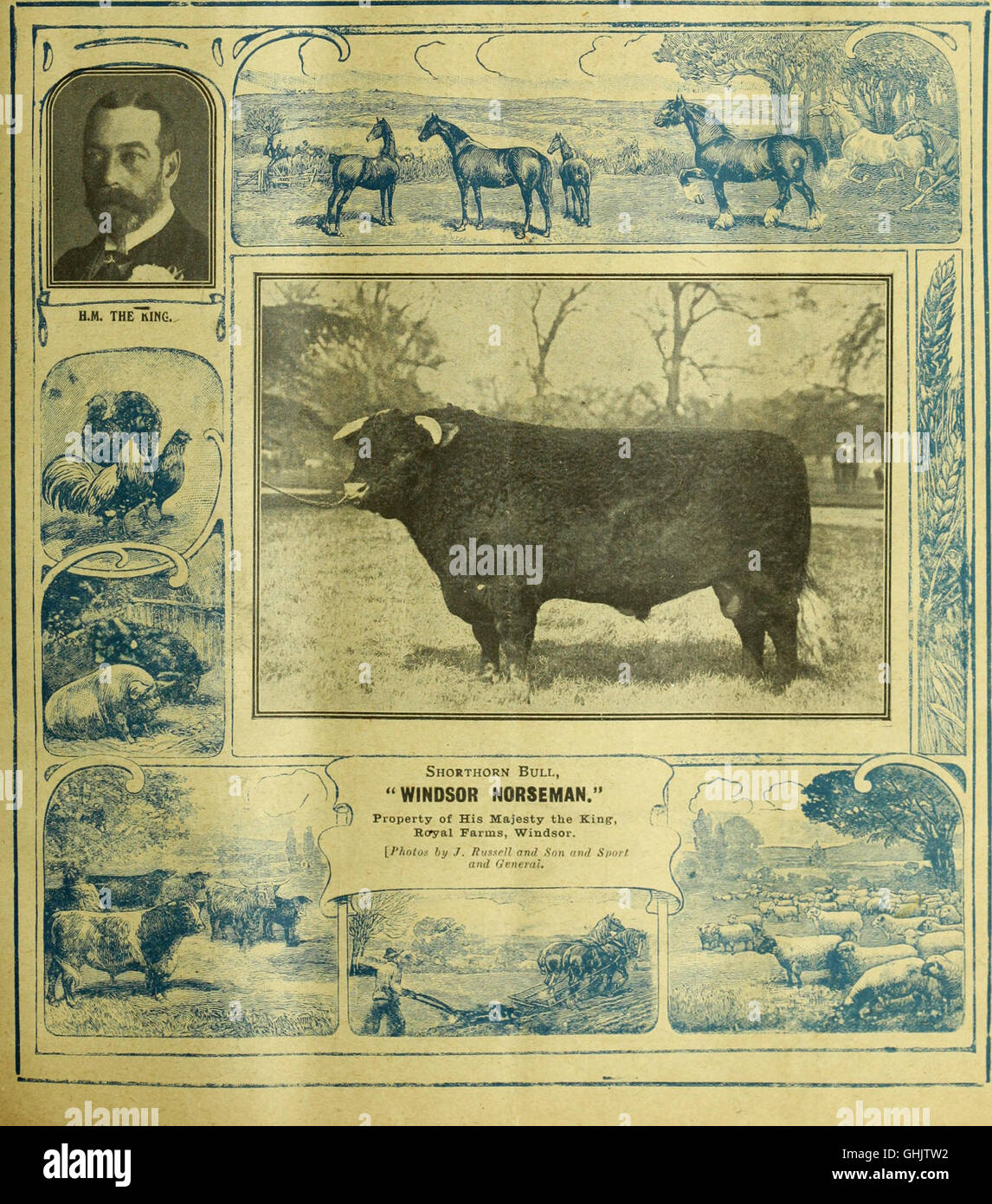 Farmer stockbreeder 1919 hi-res stock photography and images - Alamy