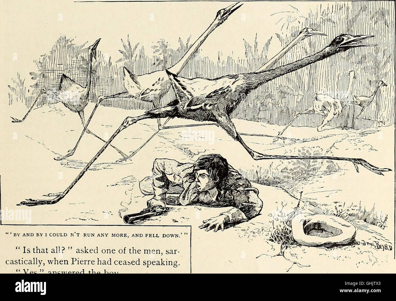 St. Nicholas was a popular American children's magazine first published ...