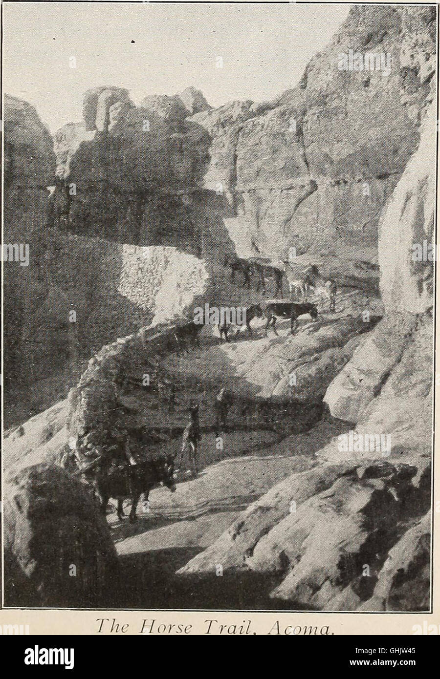 This 1903 work explores the history, culture, and lifestyle of Native ...