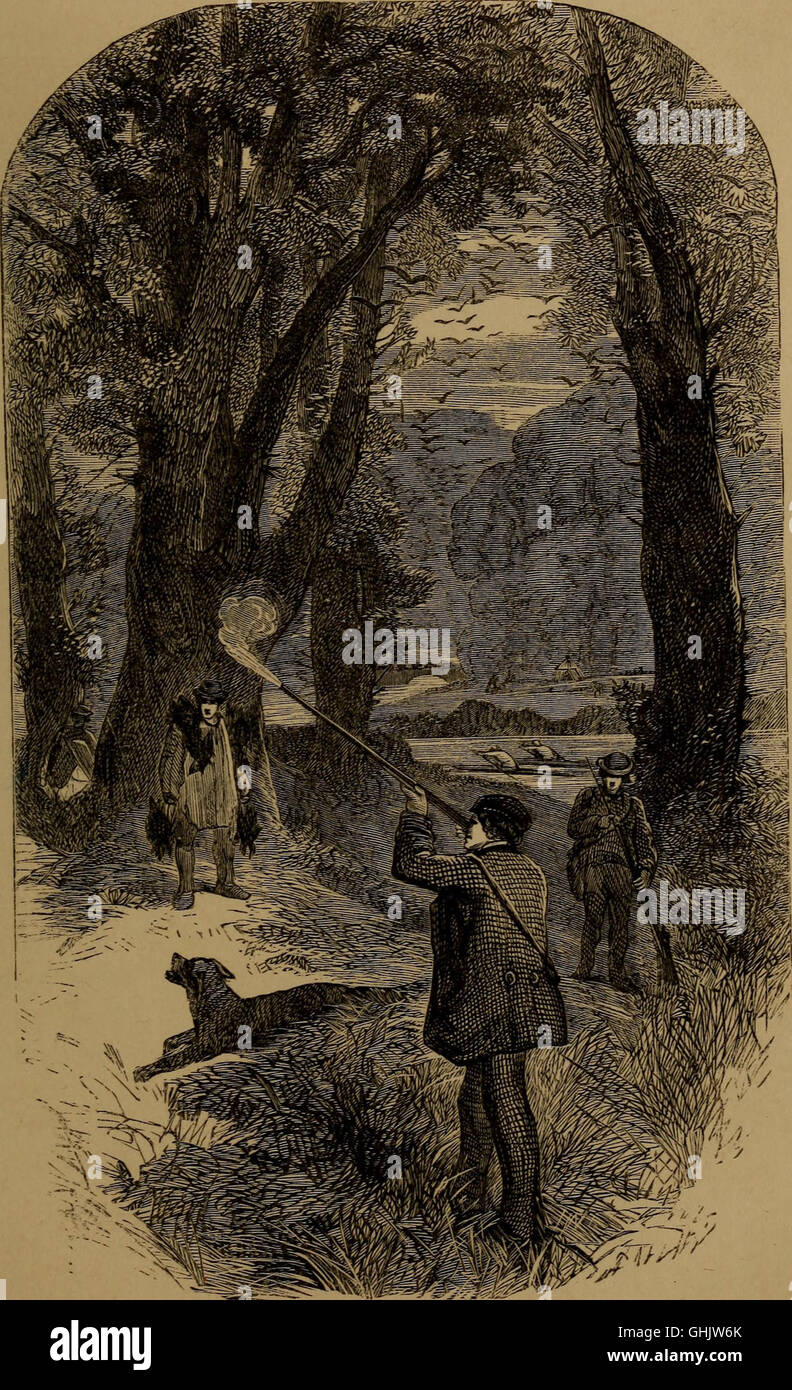 This 1859 work offers an extensive exploration of the evolution of ...