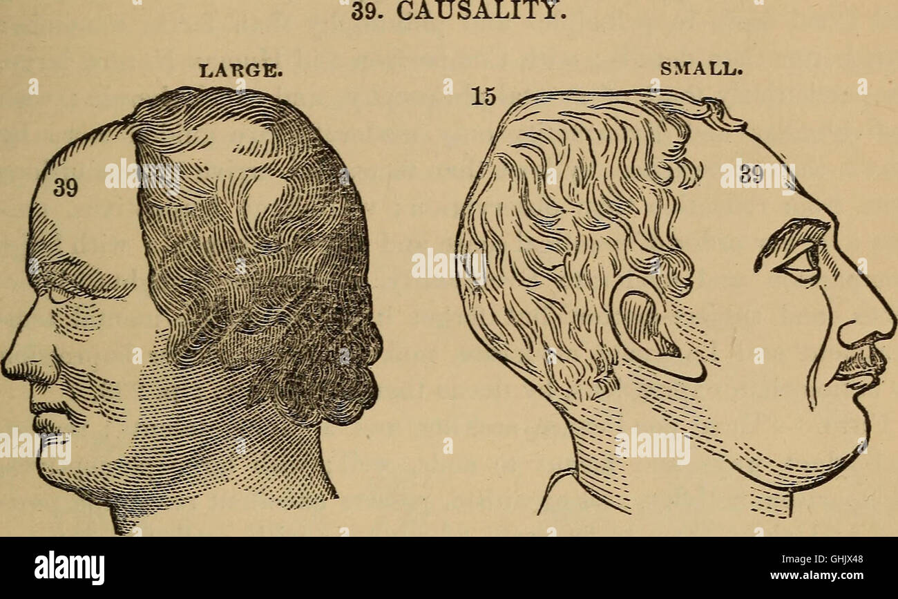 The practical phrenologist and recorder and delineator of the character ...