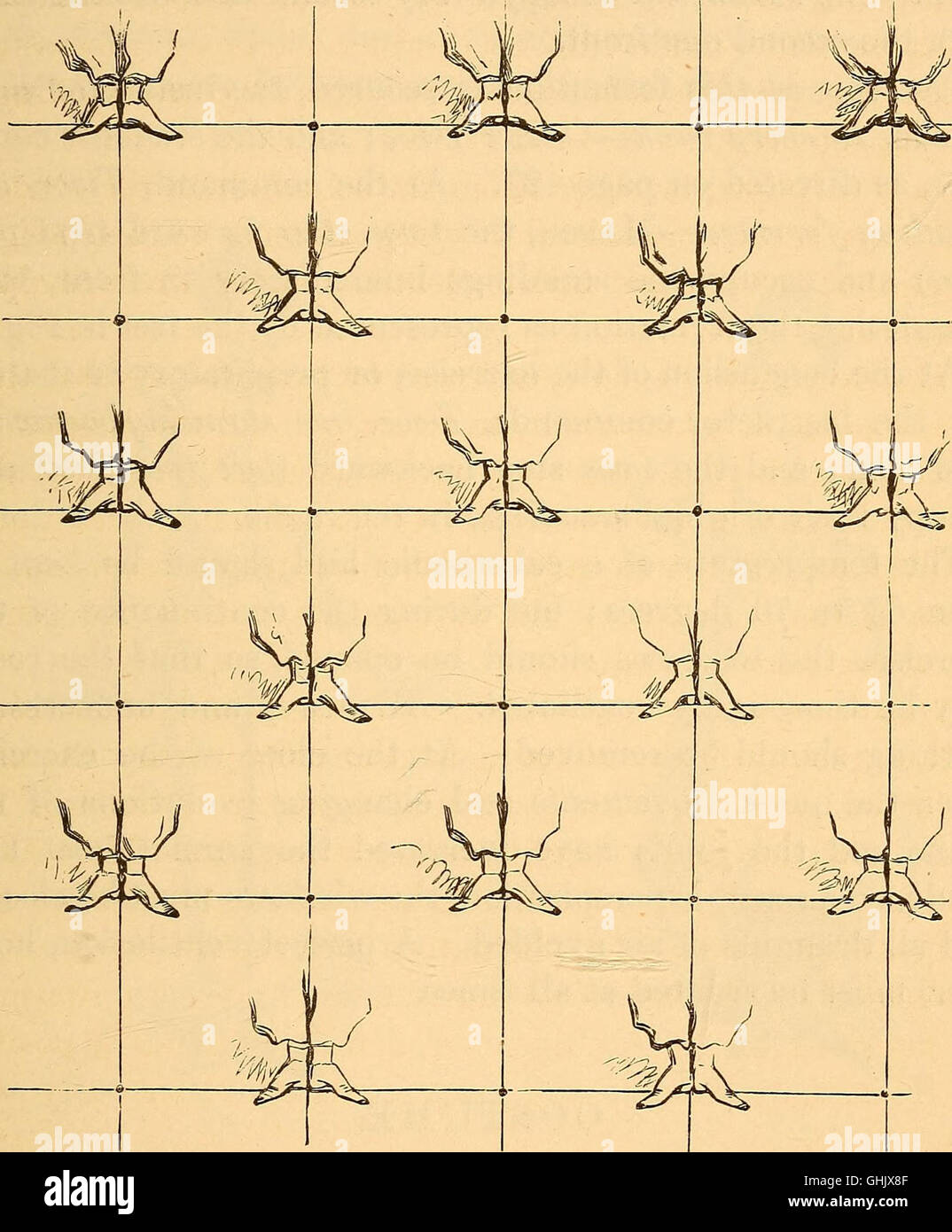 Calisthenics drawing hi-res stock photography and images - Alamy