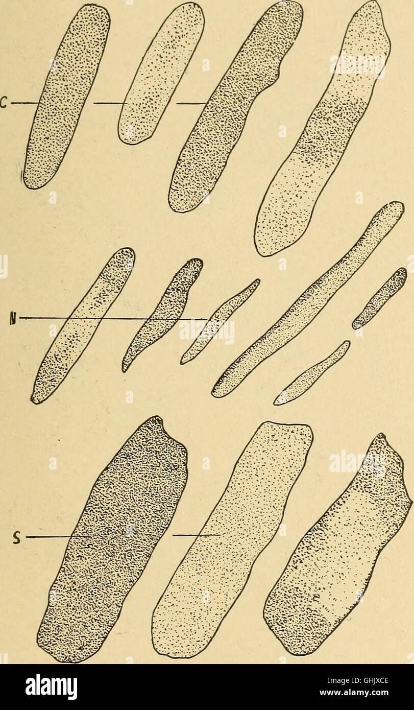 Urinary analysis and diagnosis by microscopical and chemical ...