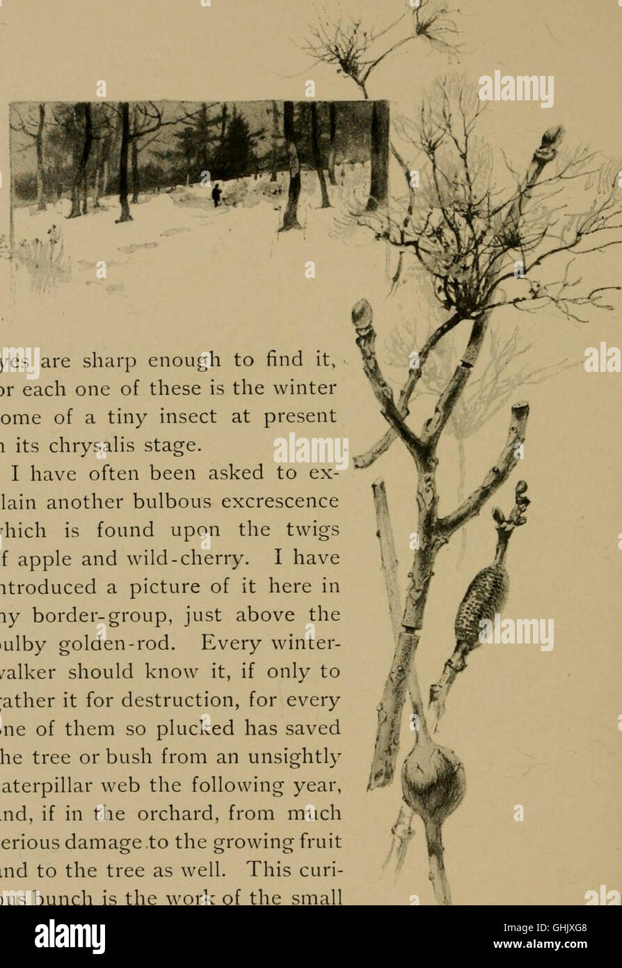 This 1892 book offers a detailed calendar of nature, documenting weekly ...