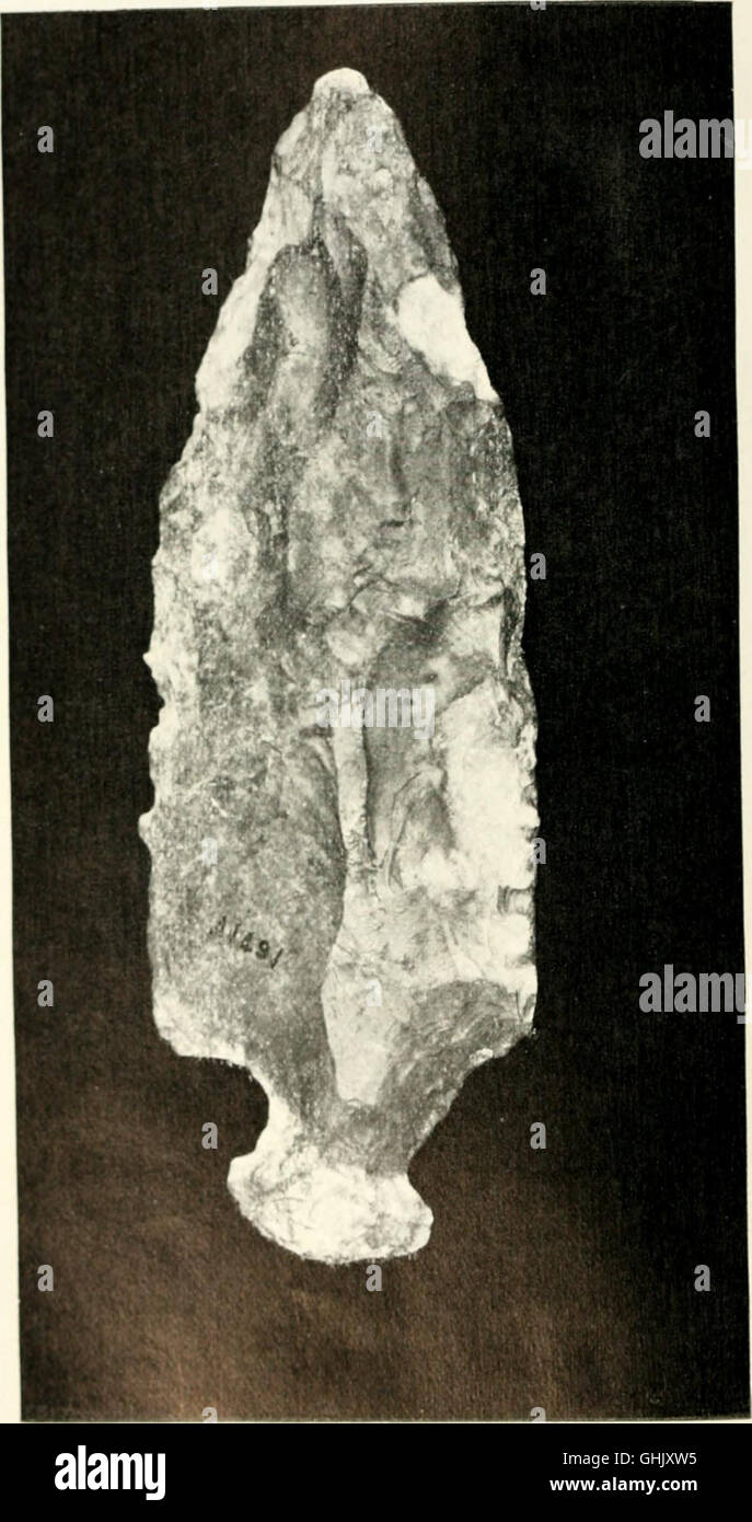 This 1913 study explores the weathering processes of ancient stone ...