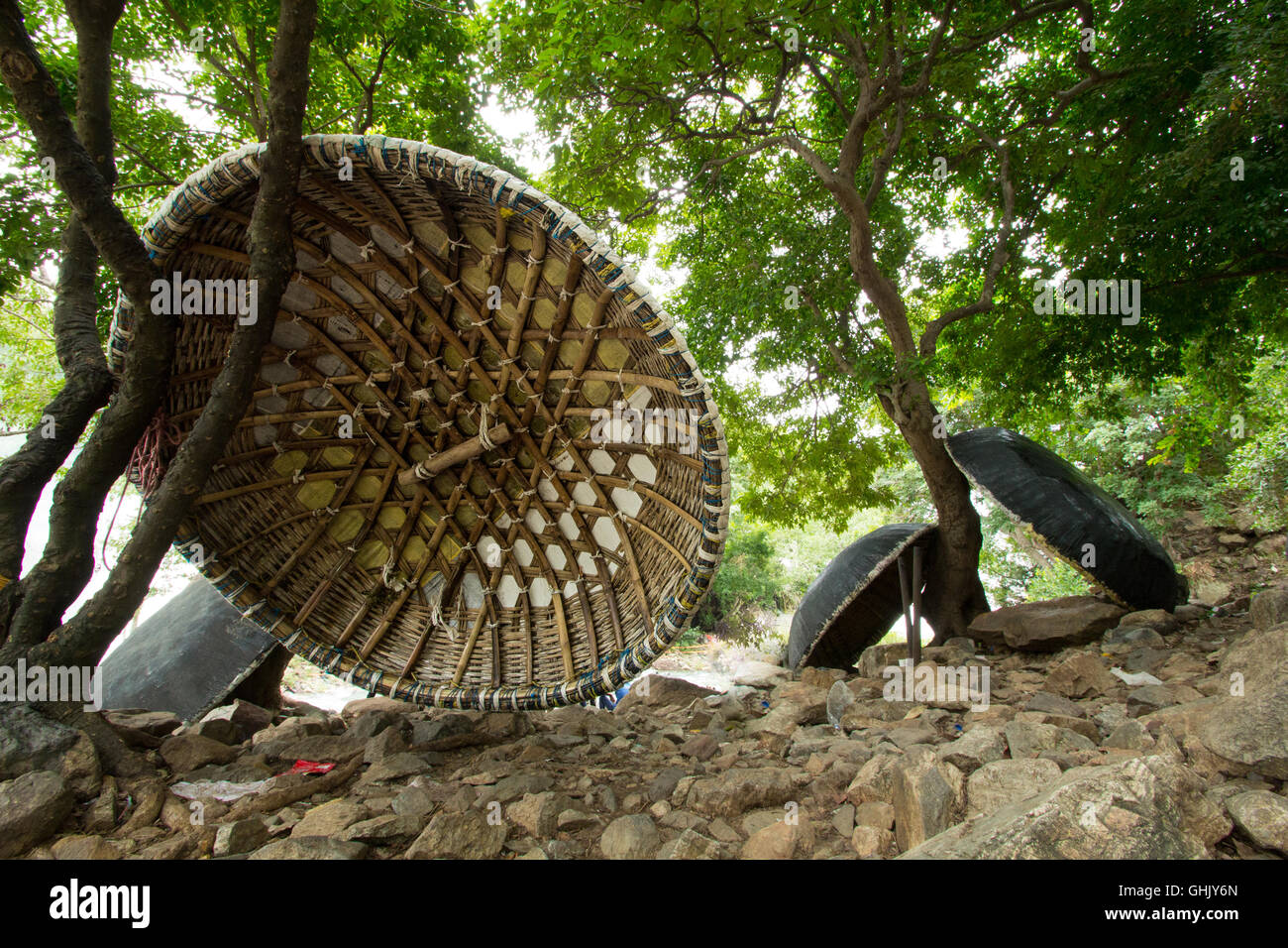 Coracles (traditional bamboo round boats,harigolu) seen at ...