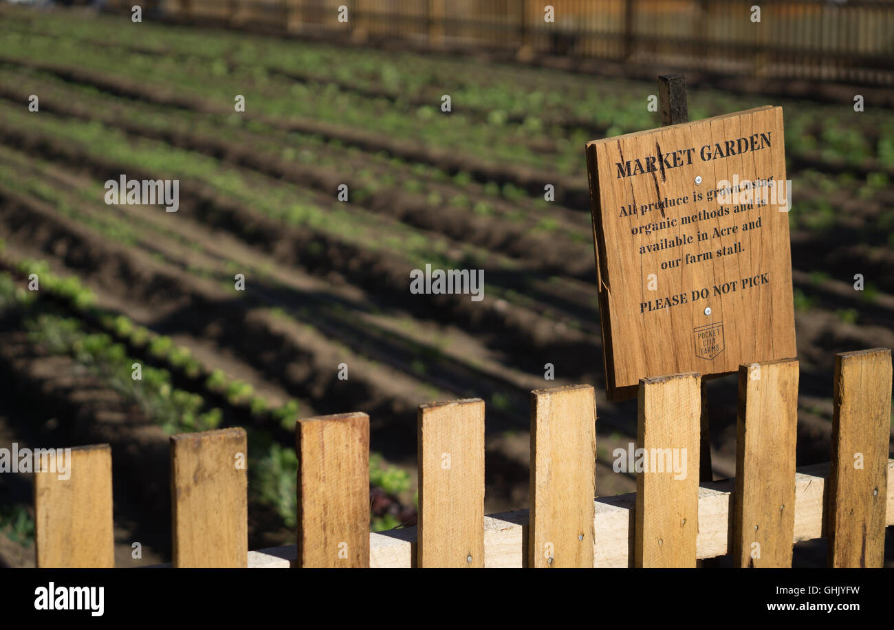 Market garden produce hi-res stock photography and images - Alamy