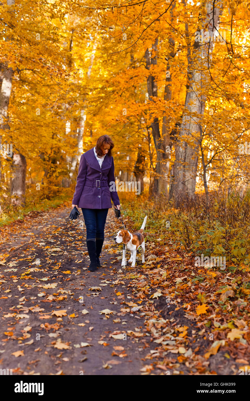 woman with dog walking in the park Stock Photo - Alamy