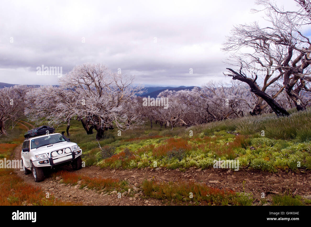 4WDriving in the Australian Alpine areas Stock Photo - Alamy