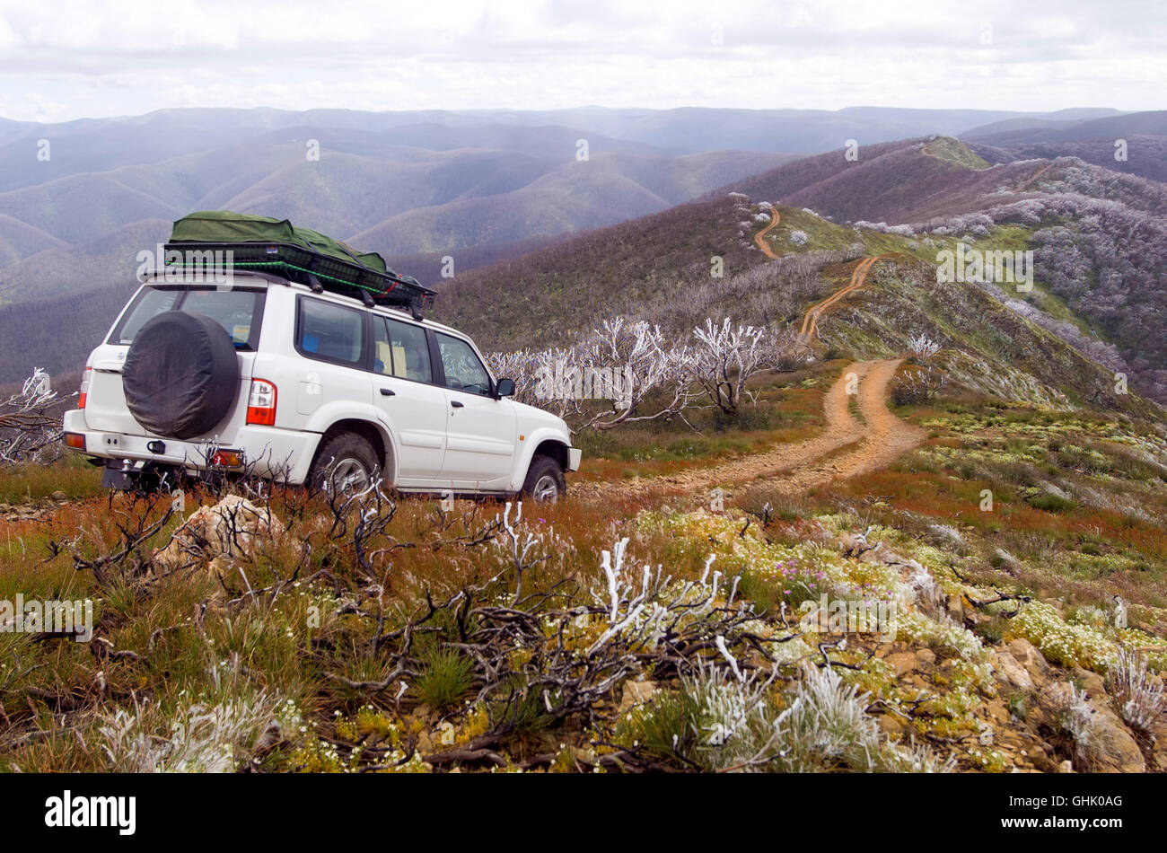 4WDriving in the Australian Alpine areas Stock Photo - Alamy