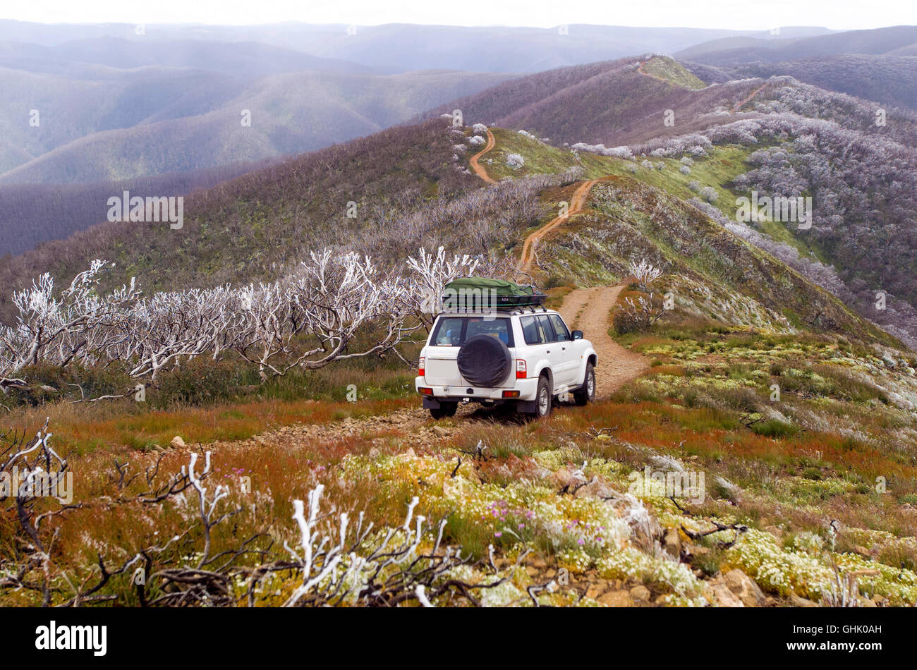 4WDriving in the Australian Alpine areas Stock Photo - Alamy