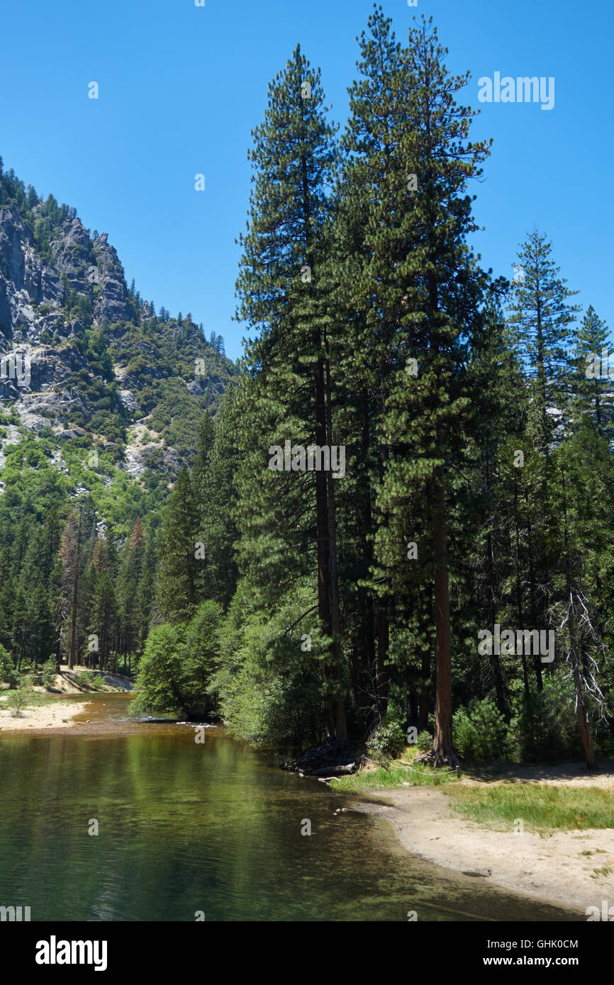 Mountains and river. Yoasemite National Park. California. USA Stock ...