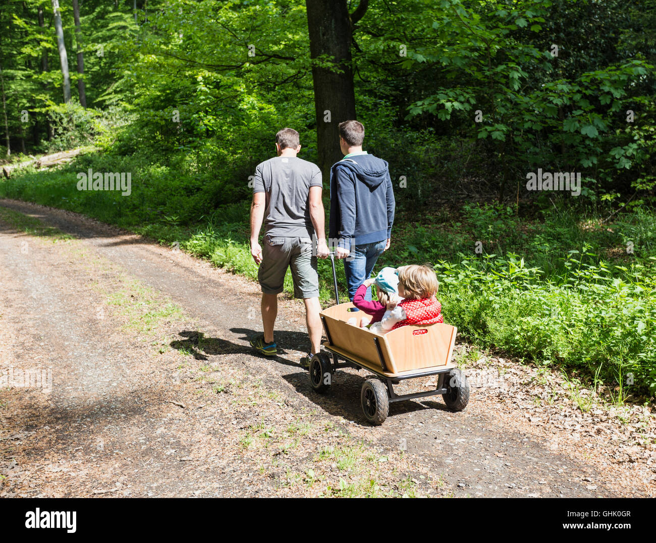 Ride through the forest Stock Photo - Alamy