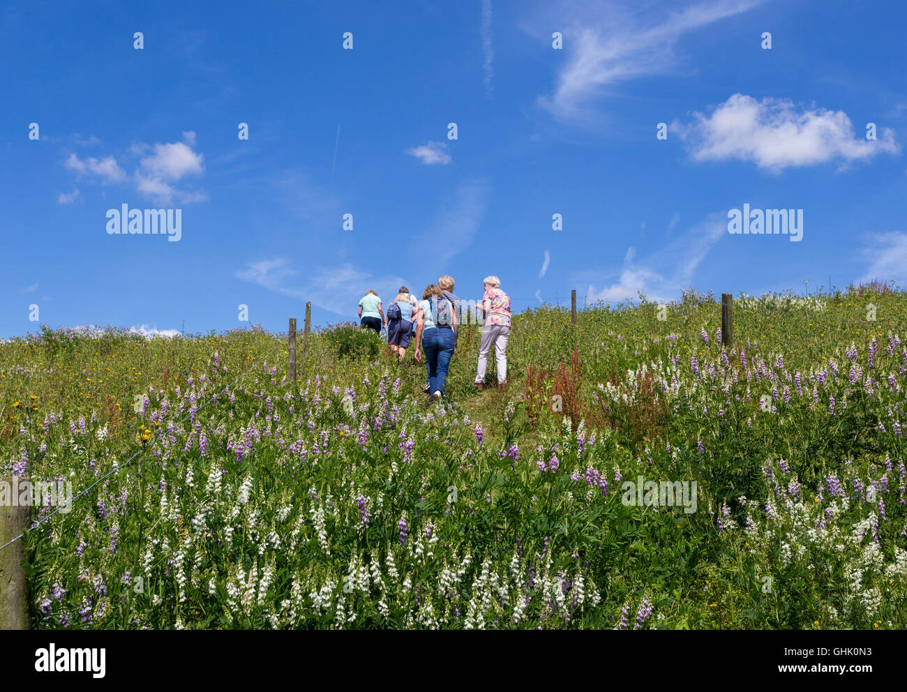People walking among flowers hi-res stock photography and images - Alamy