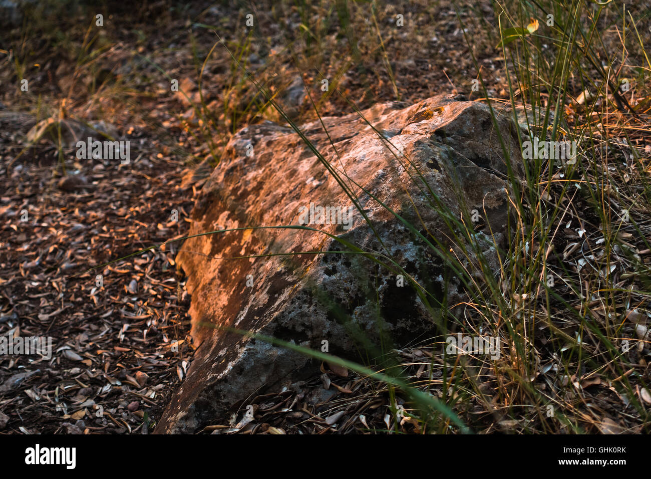 Path at sunset hi-res stock photography and images - Alamy
