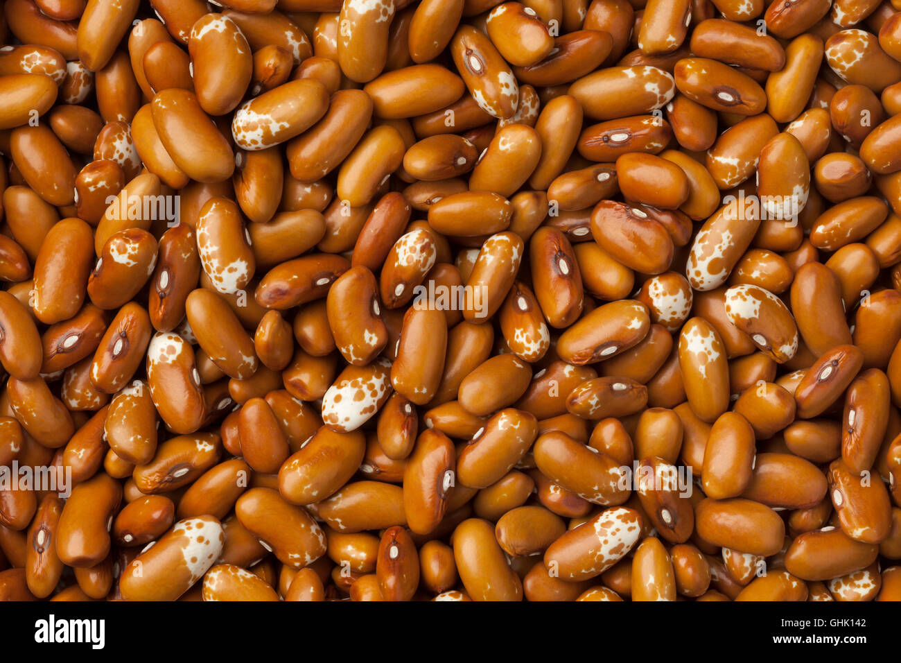 Jacobs cattle hi-res stock photography and images - Alamy