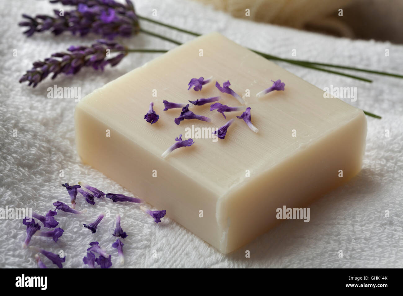Beauty of lavender hi-res stock photography and images - Alamy