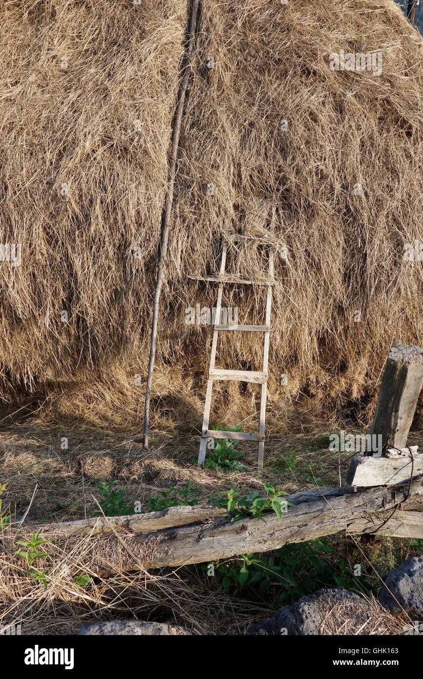 Timber ladder hi-res stock photography and images - Alamy